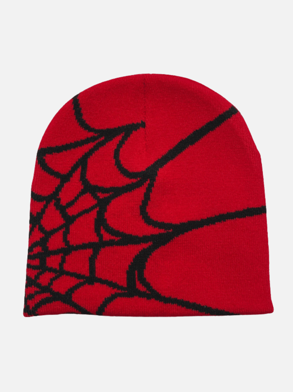 SPIDER - Graphic Beanie