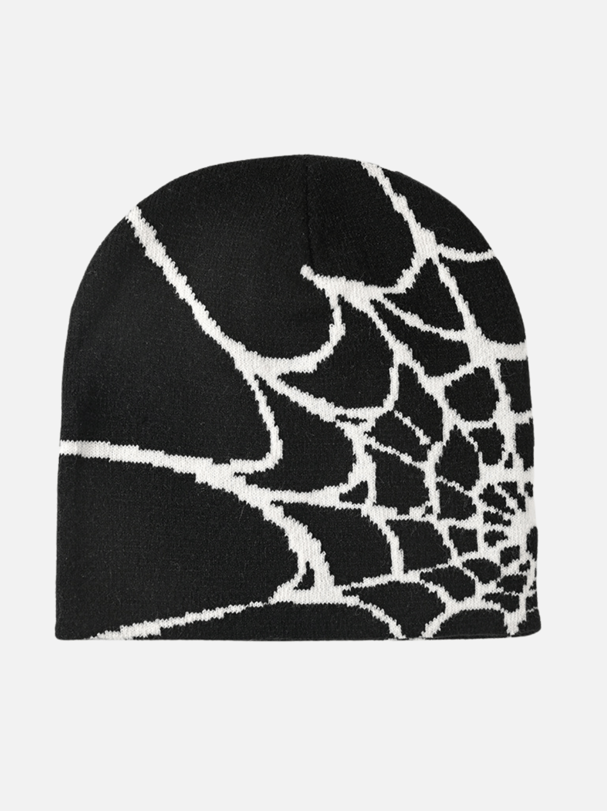 SPIDER - Graphic Beanie