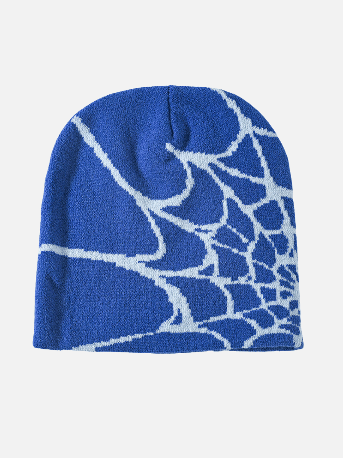 SPIDER - Graphic Beanie
